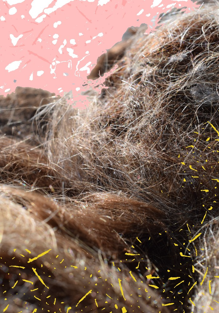 Salon Waste Disposal | Holistic Sustainability | Salon Recycling